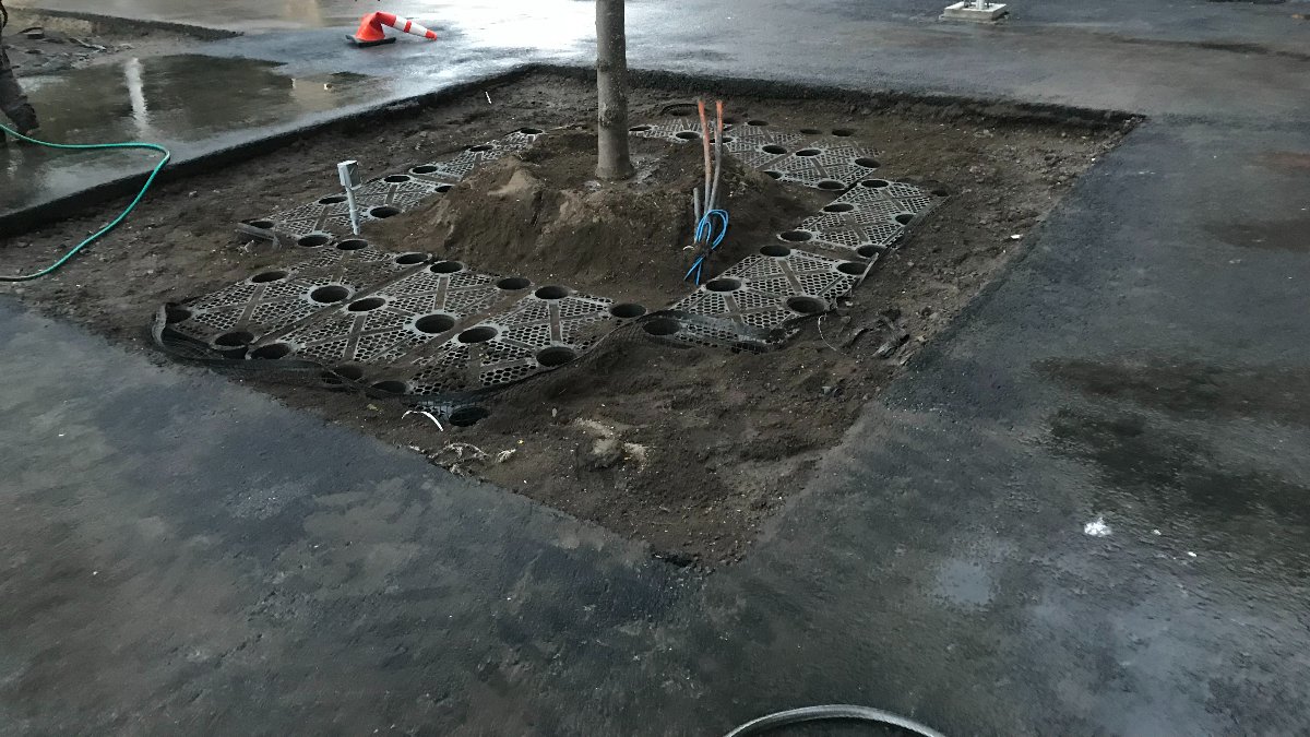 Silva Cell Installation Project in Queens, NY | Ascape Landscape